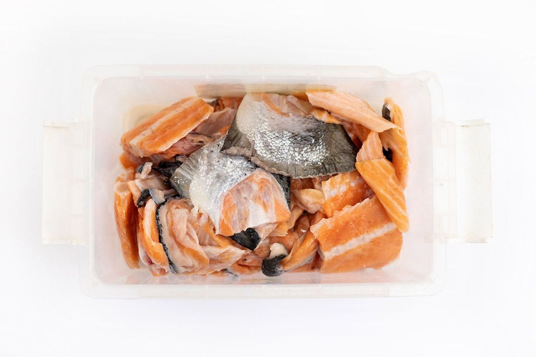 Raw Fish Scraps Test for Garbage Disposals
