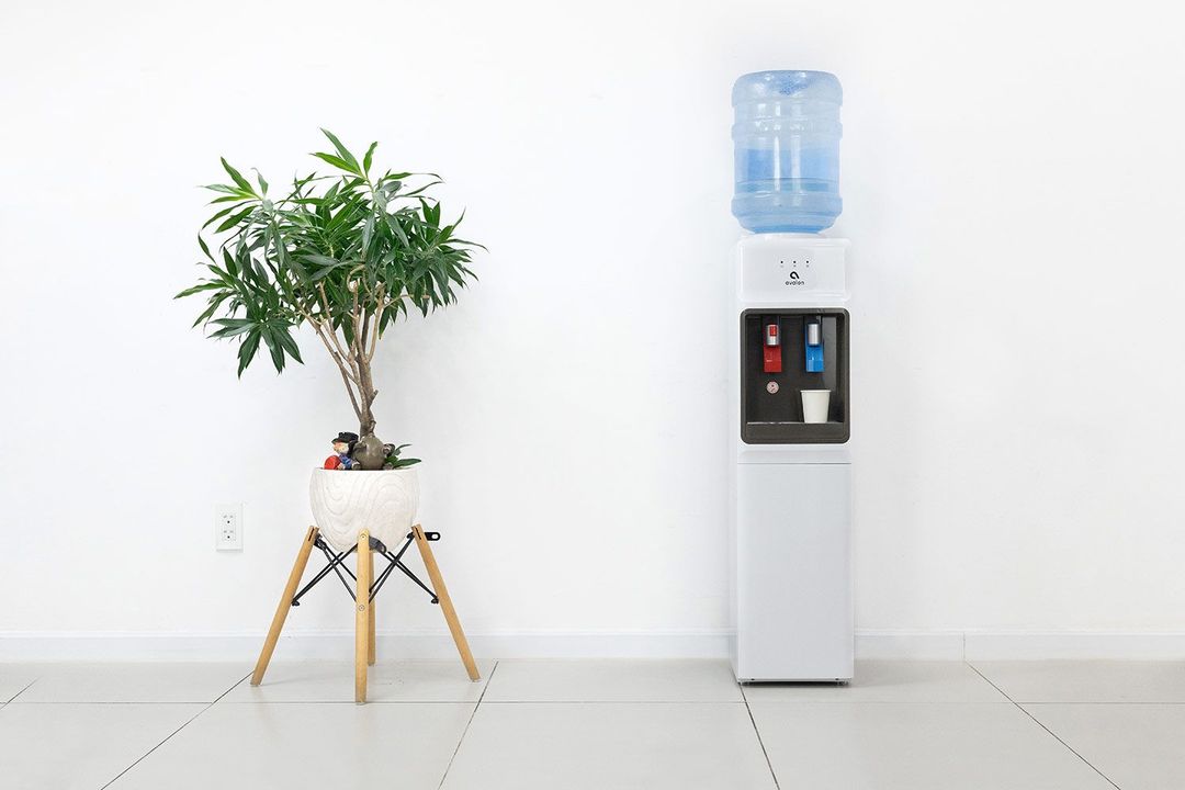Water Cooler Dispensers: In-depth Reviews, Hands-On Tests, and Buyer’s ...