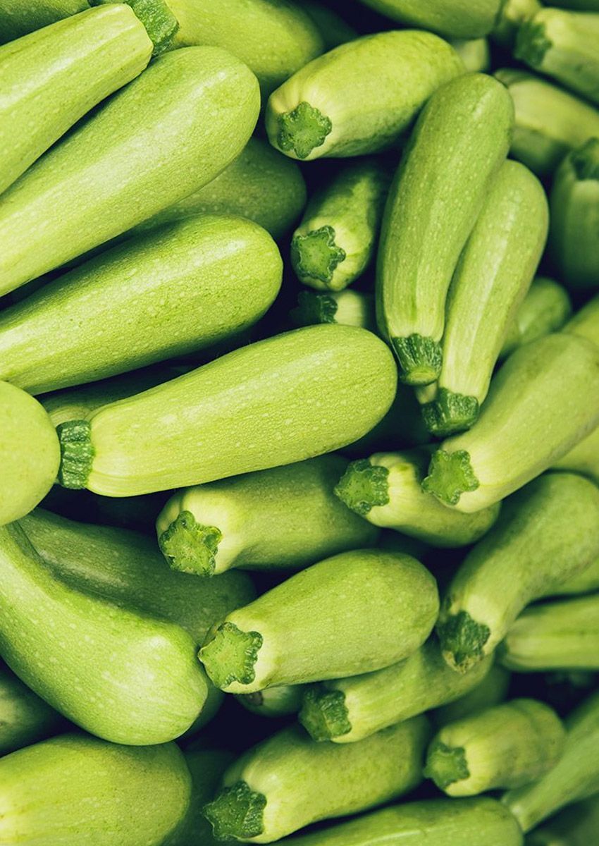 How to Store Zucchini: The Best Ways to Keep It Fresh & Long-Lasting