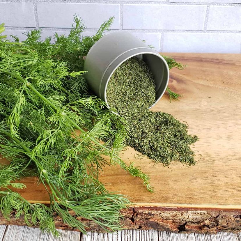 How to Dry Dill — The Best Ways to Dry and Preserve Dill Weed at Home
