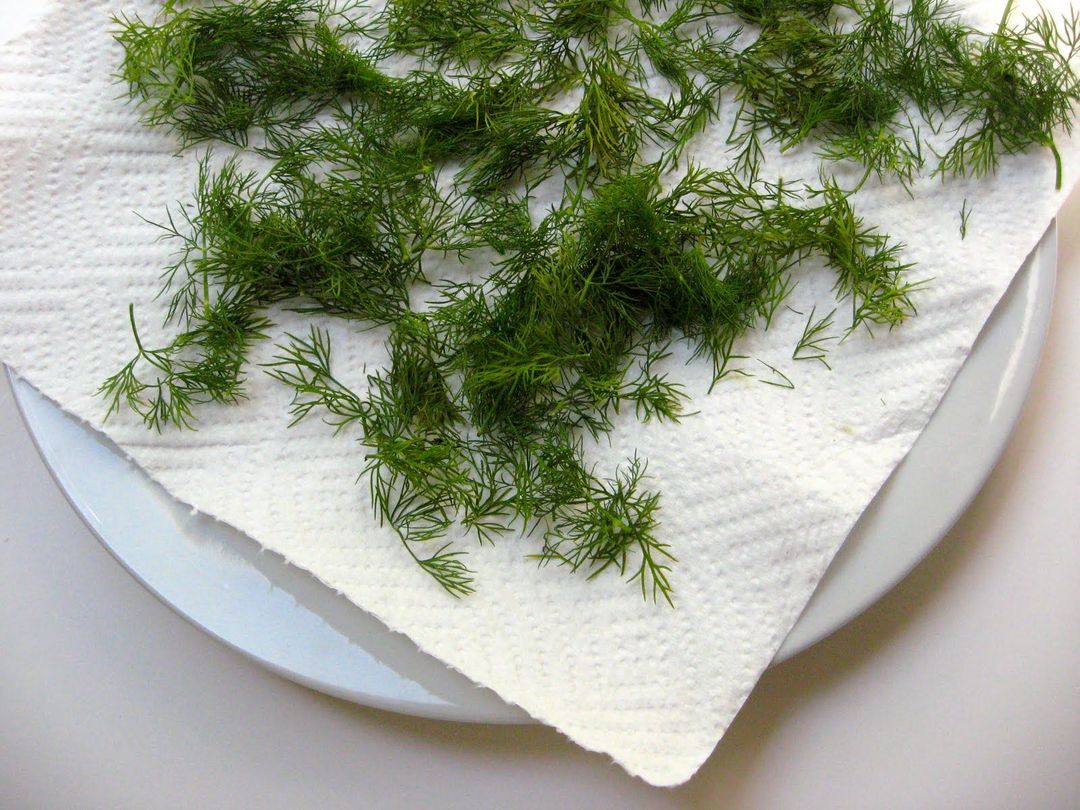 How to Dry Dill — The Best Ways to Dry and Preserve Dill Weed at Home