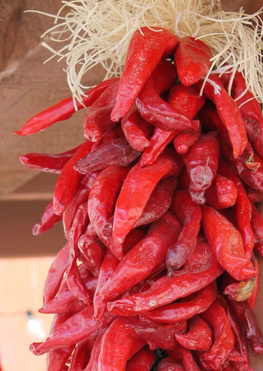 How to Dry Peppers: The Best Way to Keep Your Chillies for a Long Time
