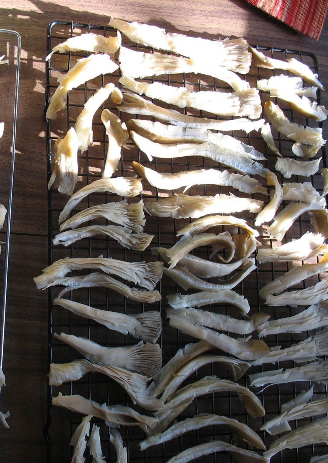 How to Dry Mushrooms: A Detailed Guide to Preserving Fresh Mushrooms