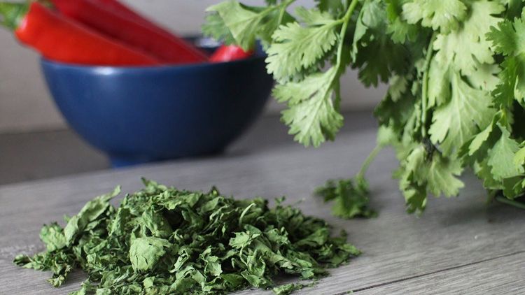 How to Dry Cilantro: Four Ways to make Dried Cilantro At Home