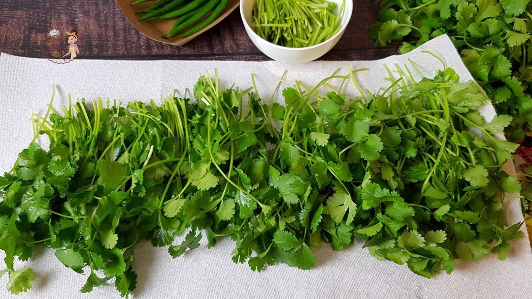 How to Dry Cilantro: Four Ways to make Dried Cilantro At Home