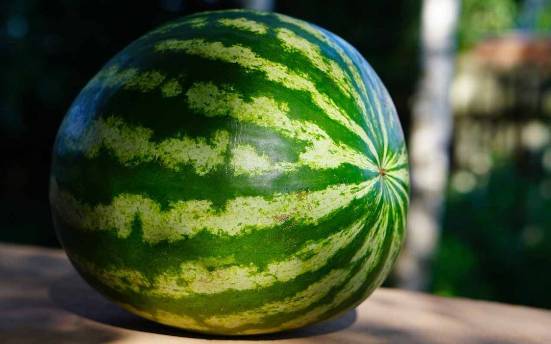How to Cut Watermelon — Best Ways to Serve Up a Watermelon