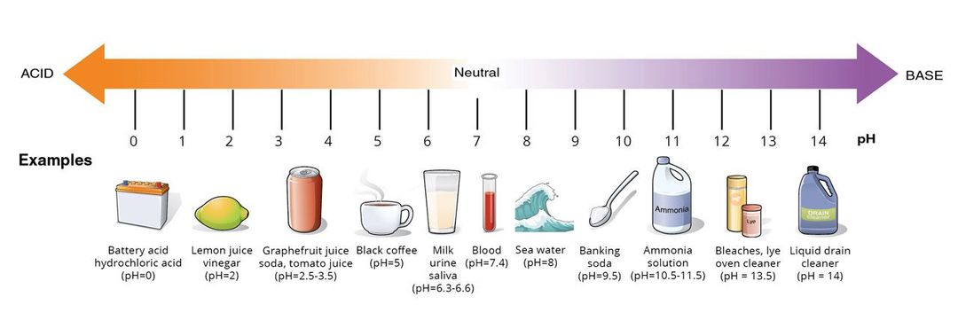 How to Clean With Baking Soda and Vinegar for Cleaning, According to a ...